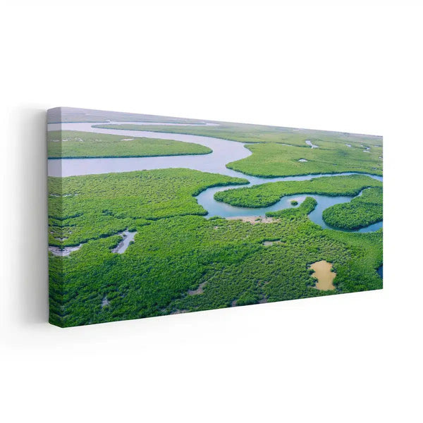 Amazon Rainforest Wall Art: Large Canvas Prints, Art Prints & Paintings