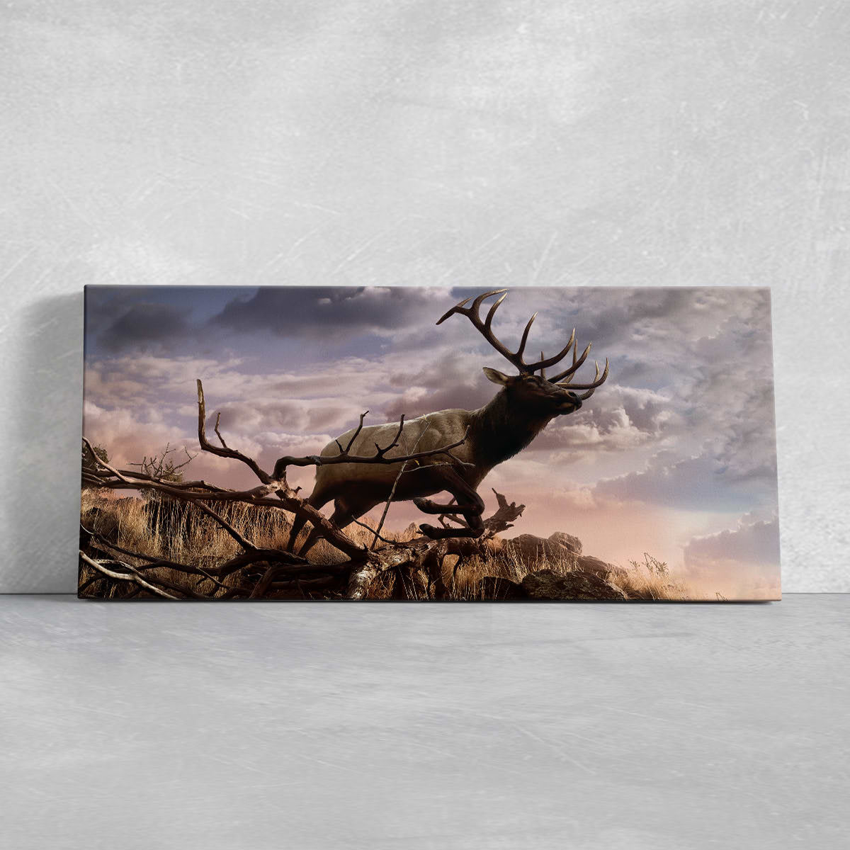Elk Paintings Prints