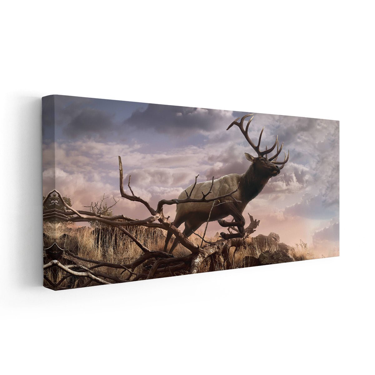 Elk Paintings Prints