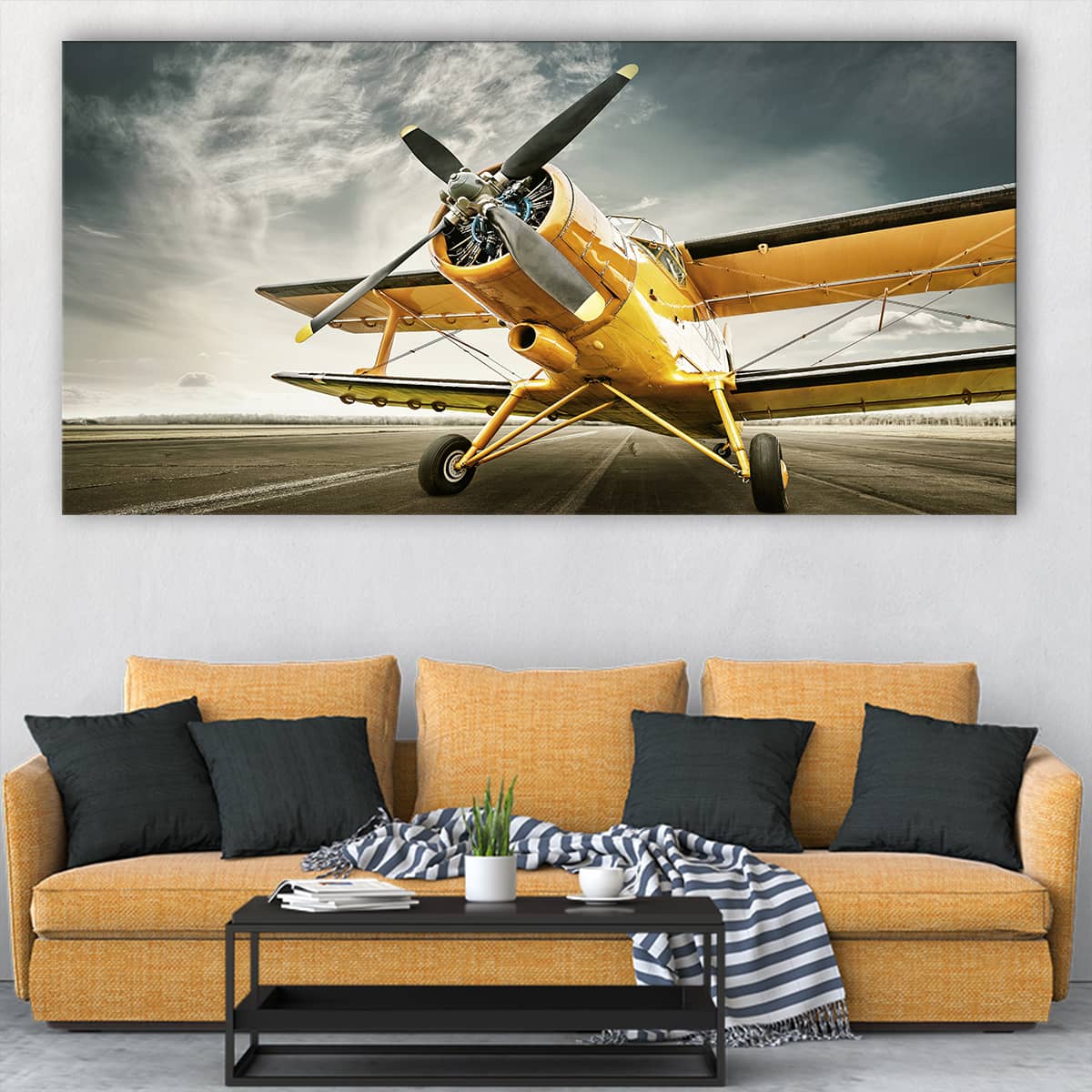 Biplane Painting